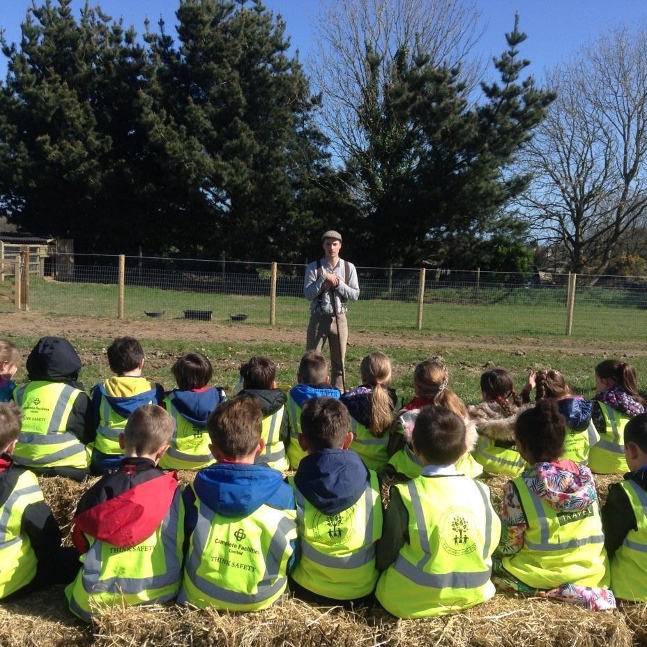Janvrin Primary School - Year 3 Farm Visit
